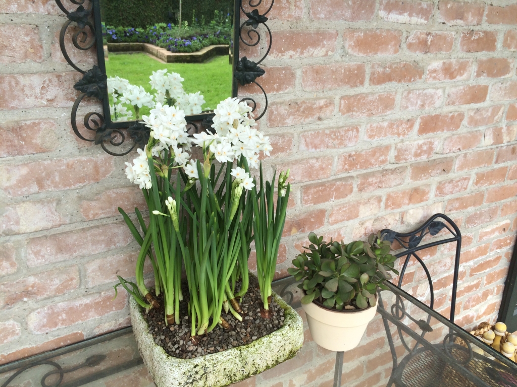 CUSTOM PAPER WHITE ARRANGEMENTS :: Glenwood Weber Design :: Houston,TX